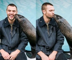 Alex Roe Biography: Is he married? Find out his biography, married ...